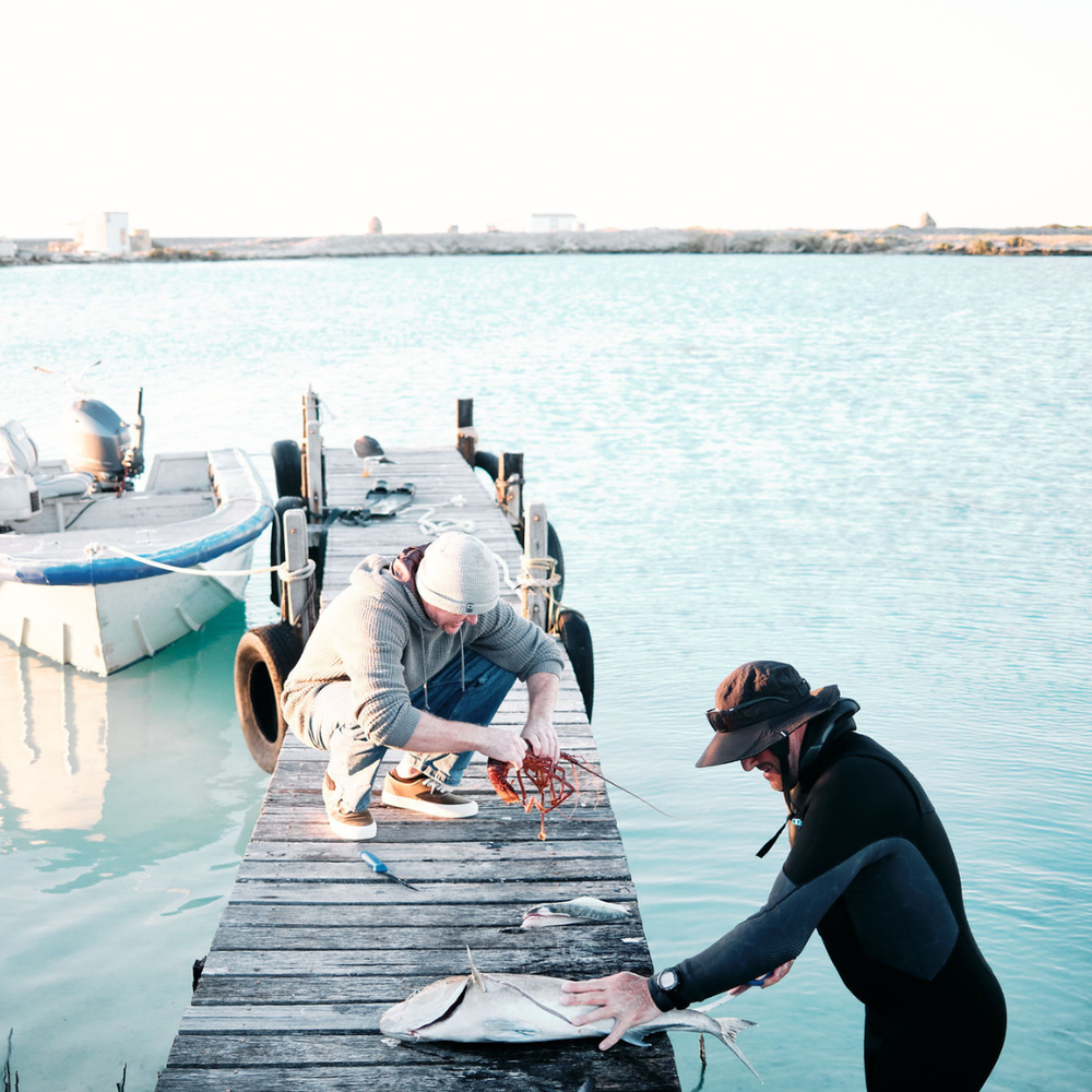 Ultimate Samson Fish Recipe – Shark Eyes Australia