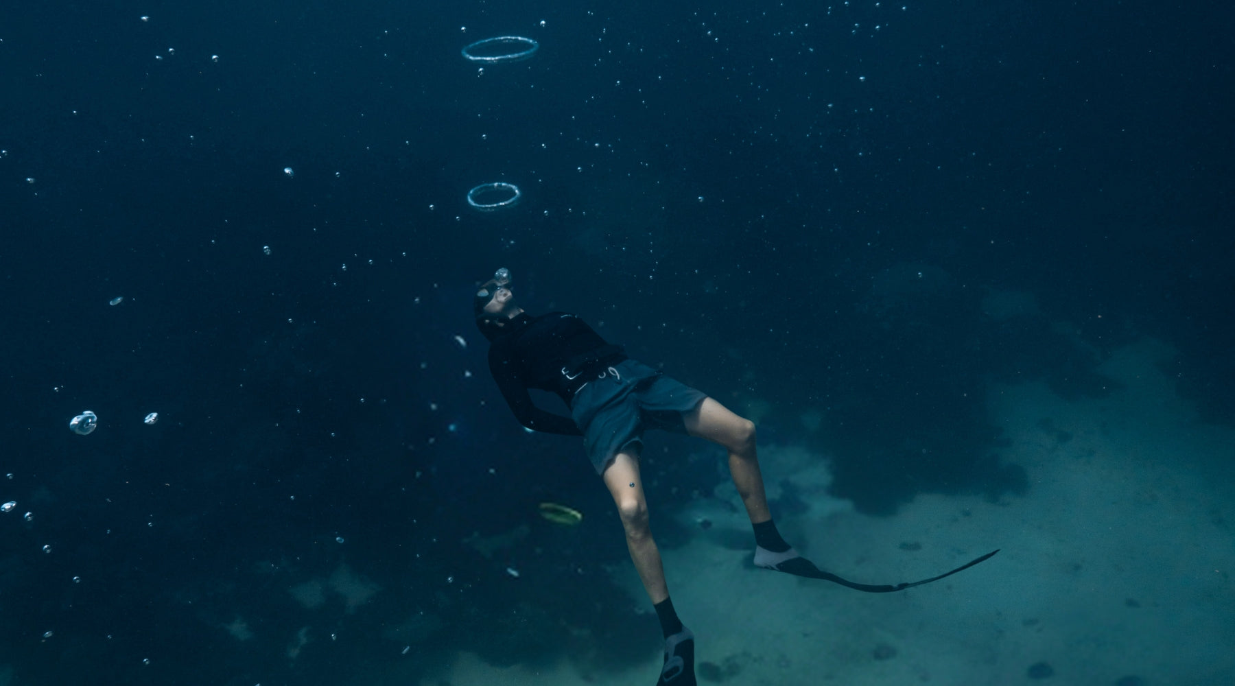 Thermal Rash Vests – Shark Eyes Australia