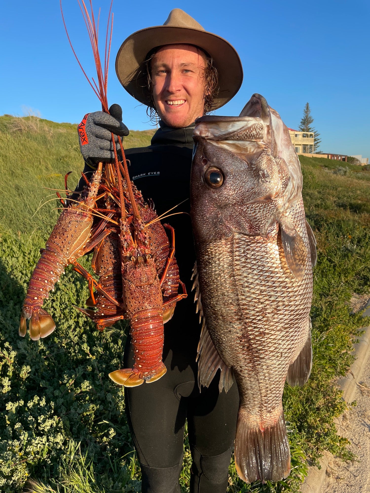 Shane Ackerman - Shark Eyes Australia