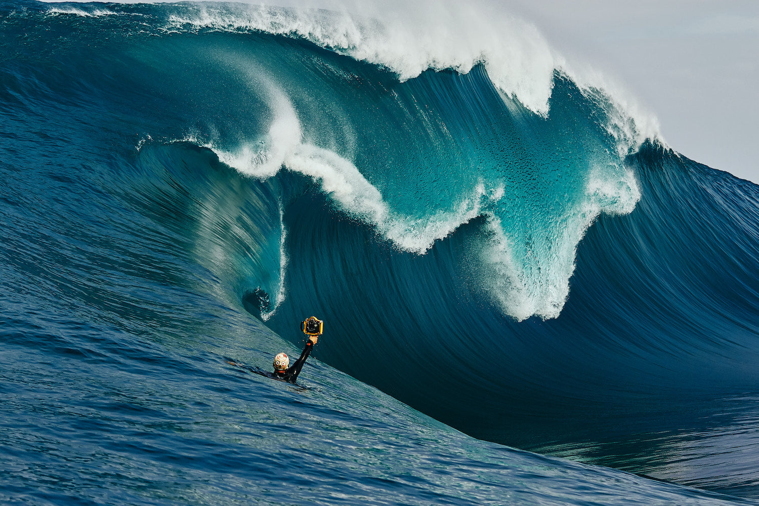 Greg Pickering - Shark Eyes Australia