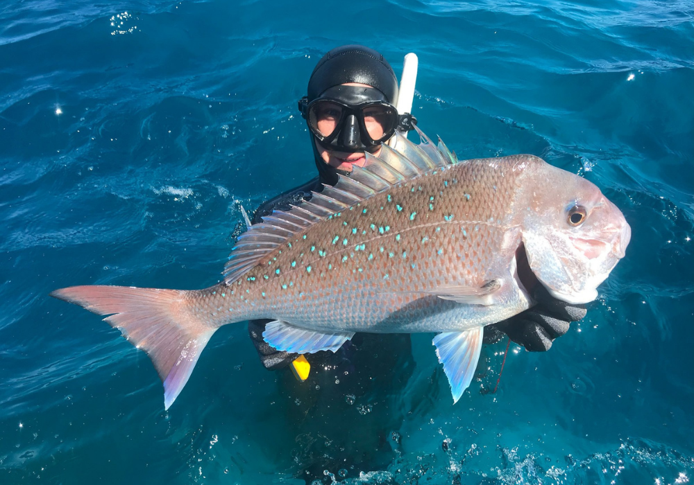 Shane Ackerman - Shark Eyes Australia